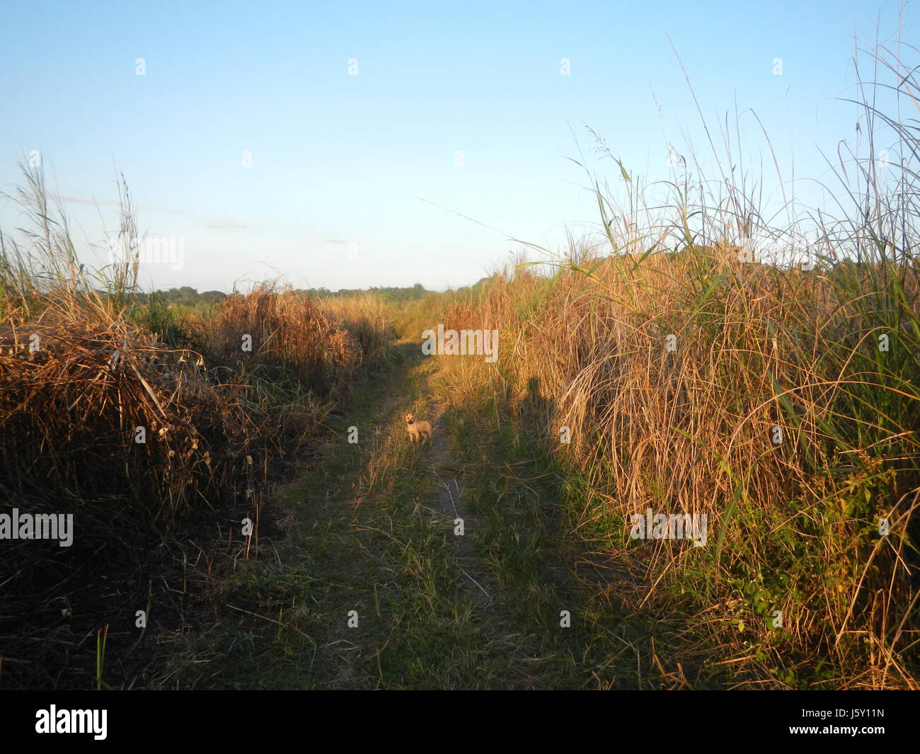 Riprap construction for slope protection along the Angat Riverbanks in ...