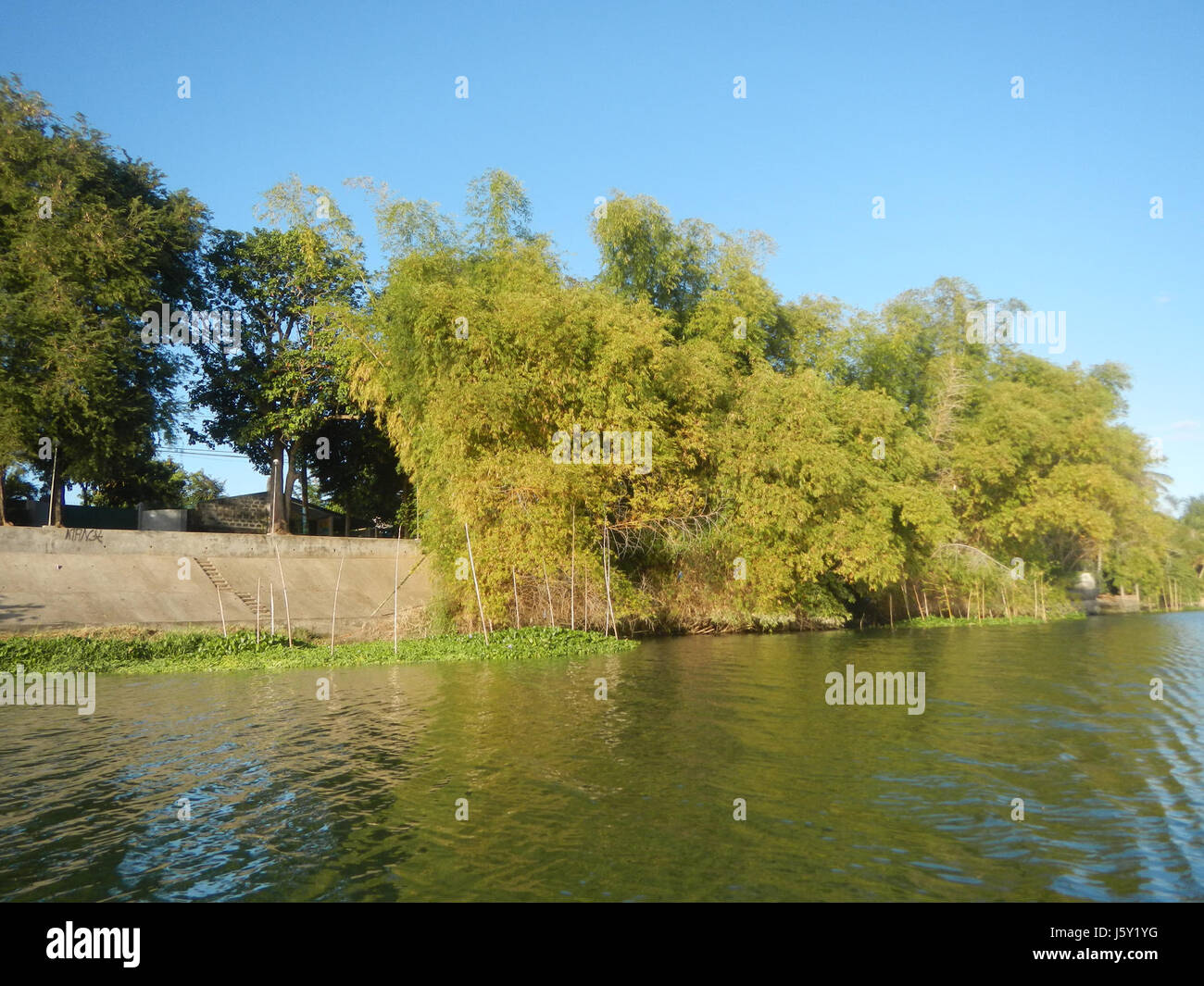 0006 Pulilan Plaridel Trees Riverbanks Riprap construction Bulacan 32 ...