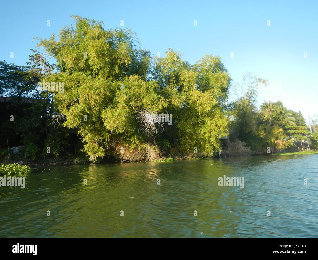 This project in Pulilan, Bulacan, involves the construction of riprap ...