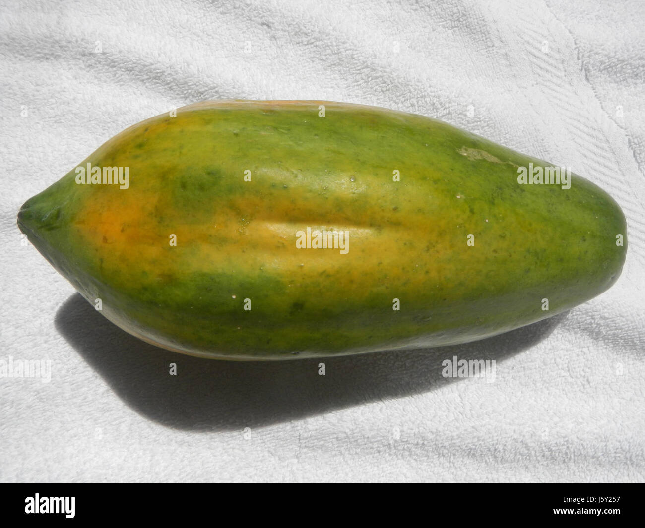 This image features Carica papaya, commonly known as papaya, a tropical ...