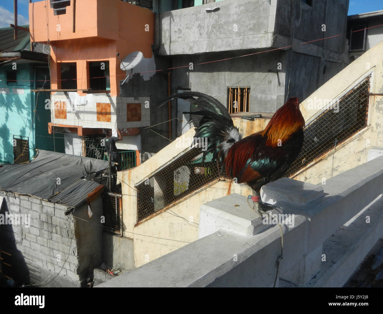 0001 Rodriguez Street Bridge Estero de Vitas Balut Tondo Manila 05 ...