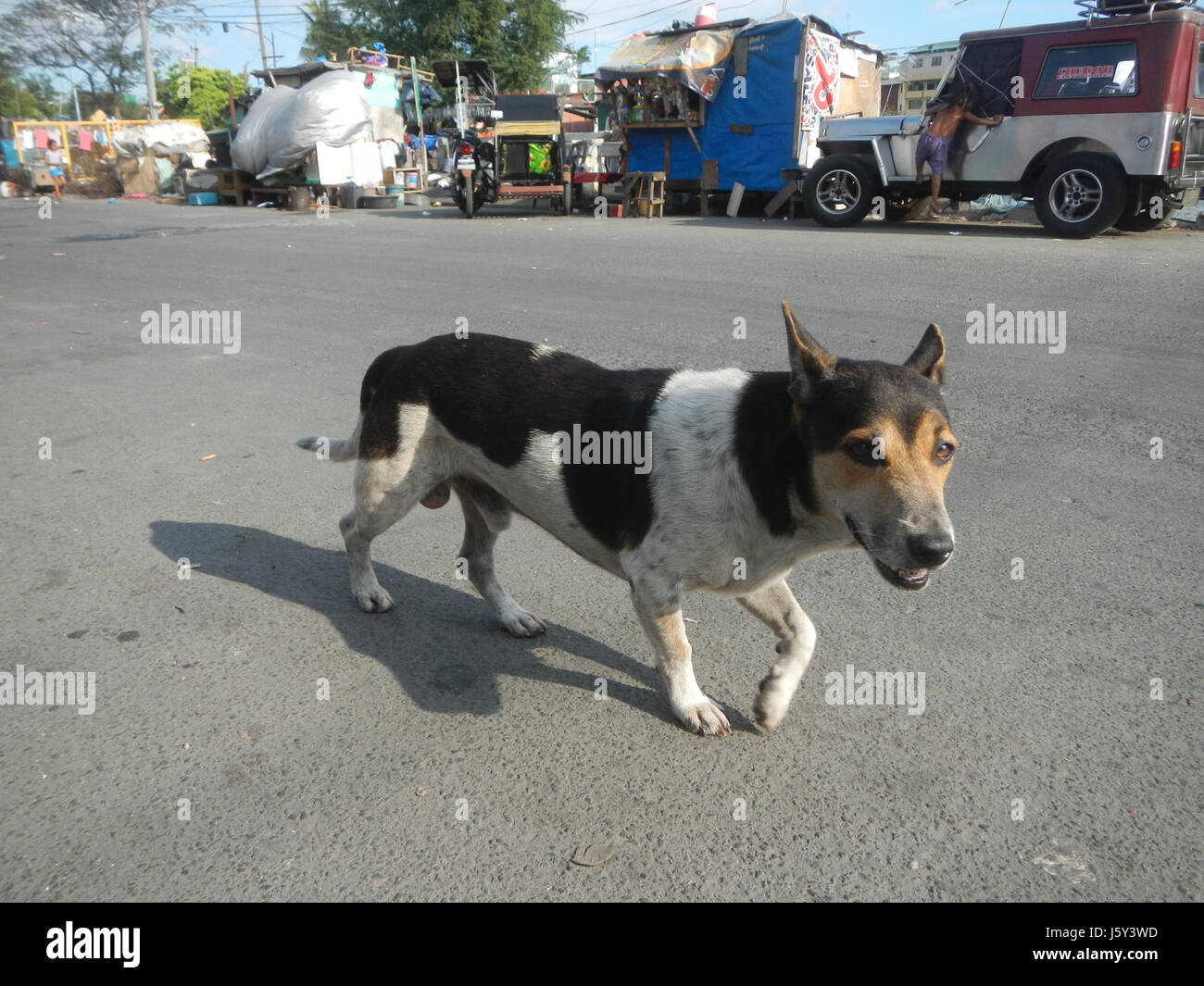 0416 C-21 Road Capulong Raxabago Streets Bridge Estero de Vitas Tondo ...
