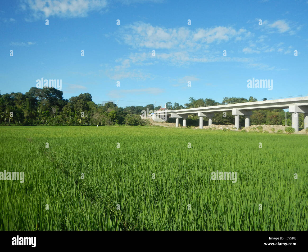 This title refers to a road construction project in Bulacan ...