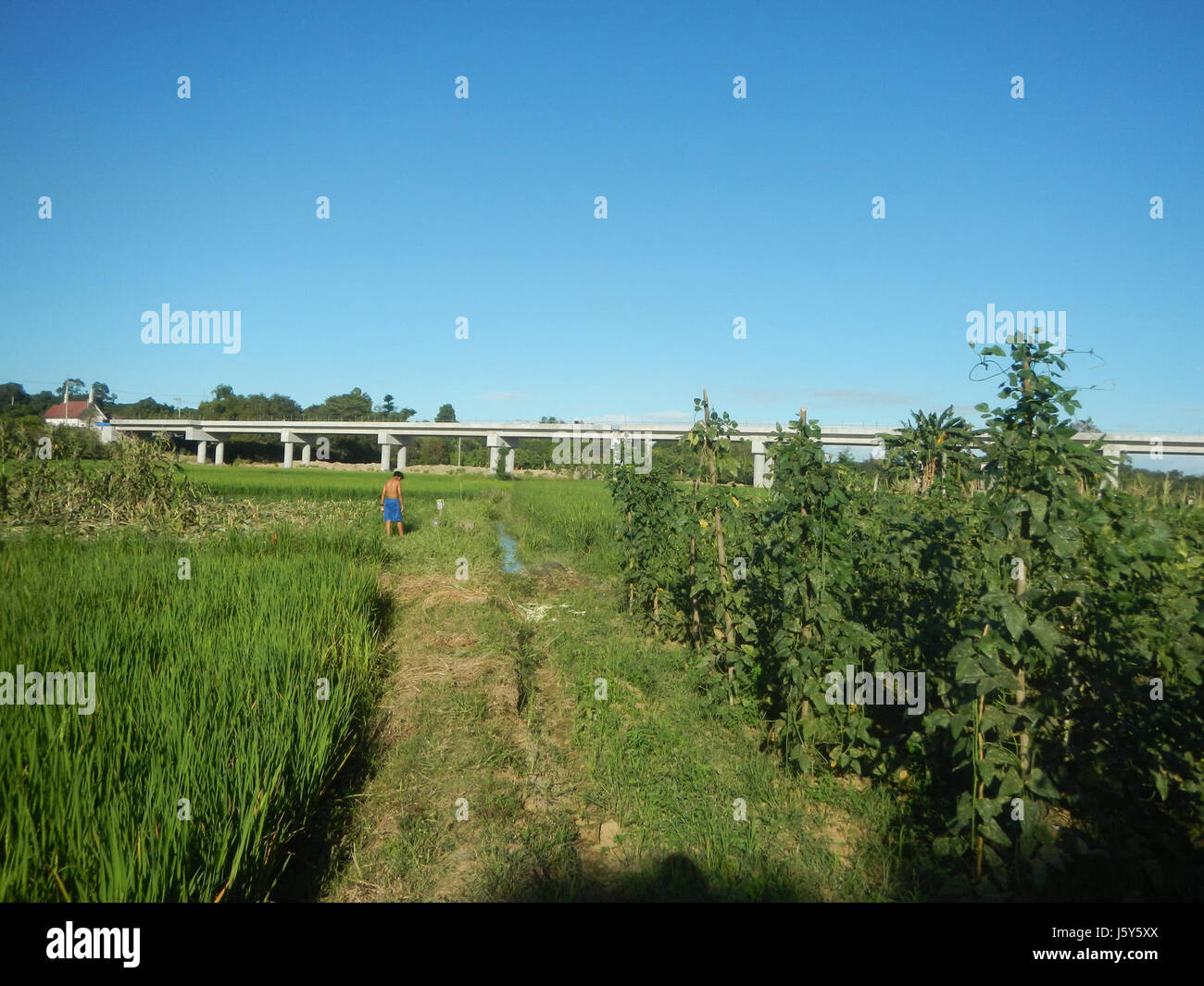 This reference points to an area in San Rafael, Bulacan, Philippines ...