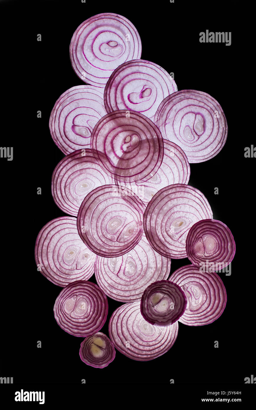 Onion slices in indirect light Stock Photo - Alamy