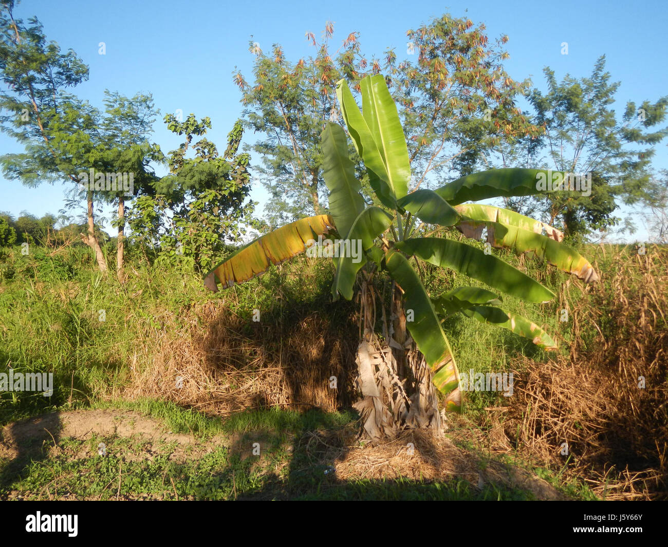Aerial soil hi-res stock photography and images - Alamy