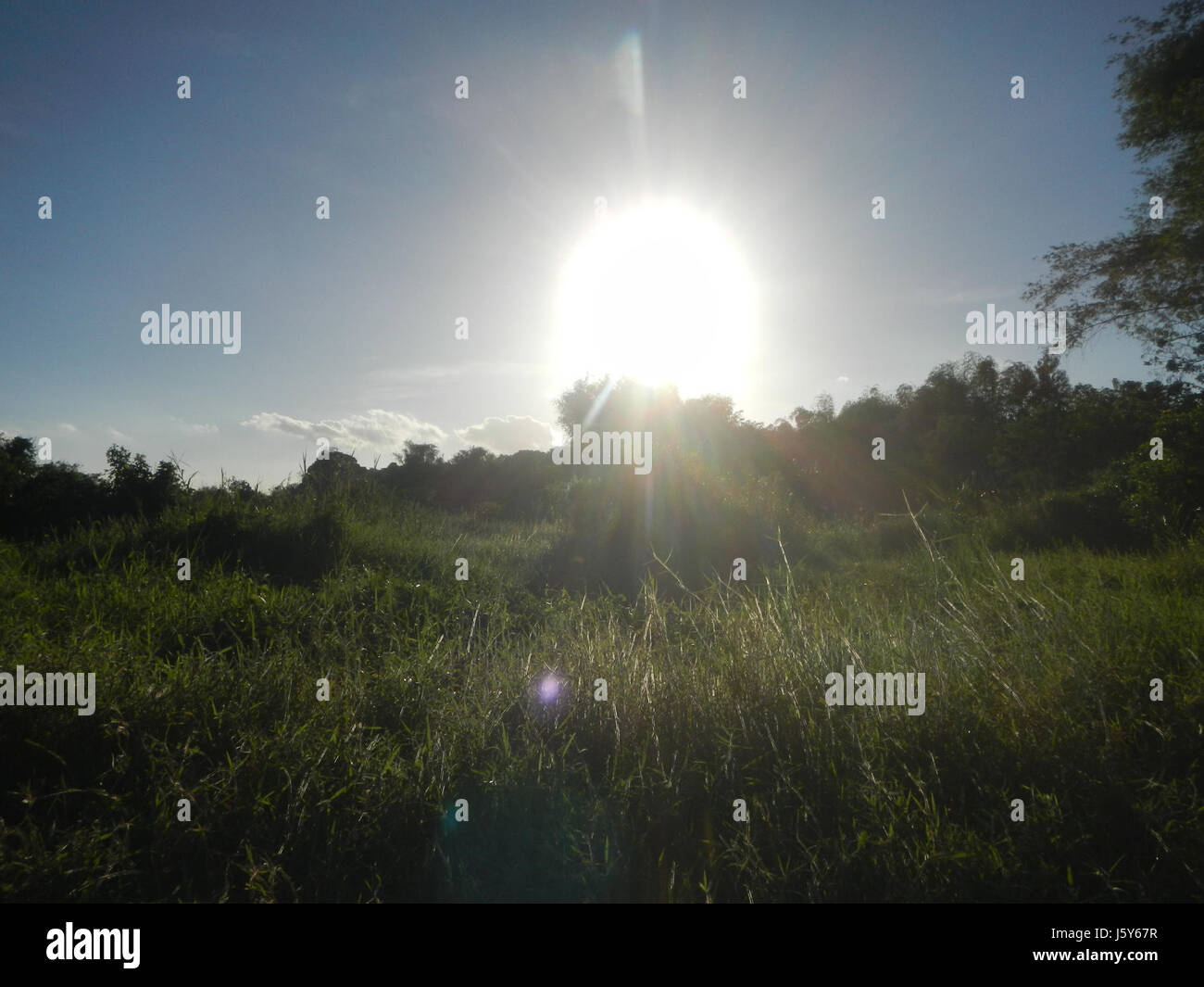 02066 Paddy, vegetable maize fields, grasslands treesTambubong, San ...