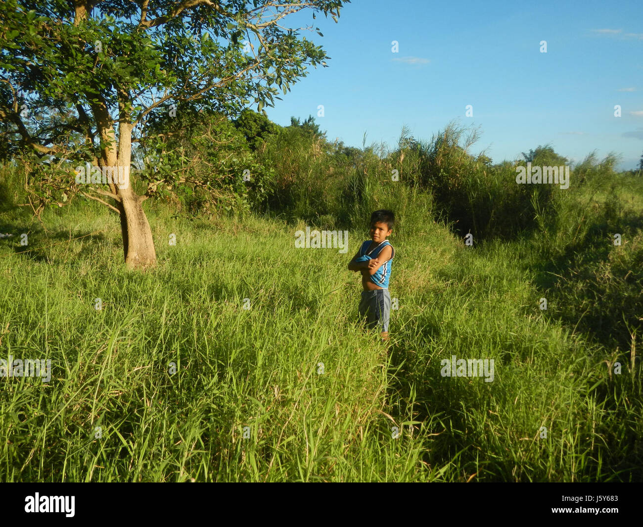This title describes a scene of agricultural fields, including paddy ...