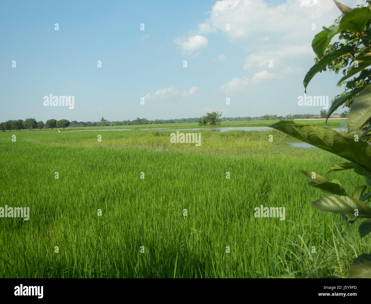 This title describes the location and infrastructure in Plaridel ...