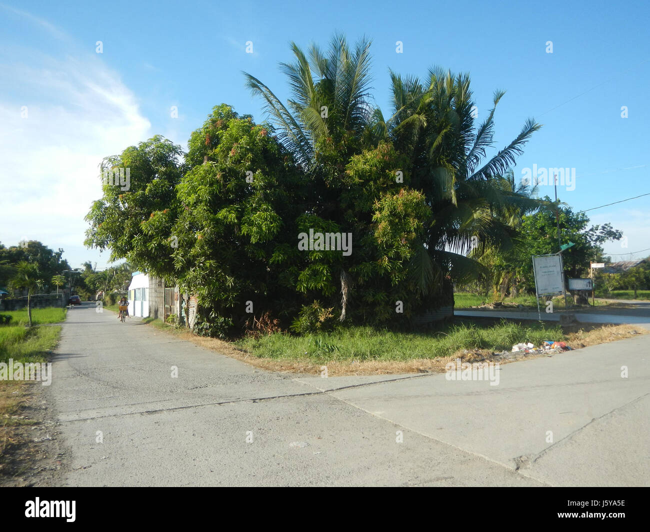0011 Paddy fields Bagong Silang Plaridel Bulacan Farm Market Road 01 ...
