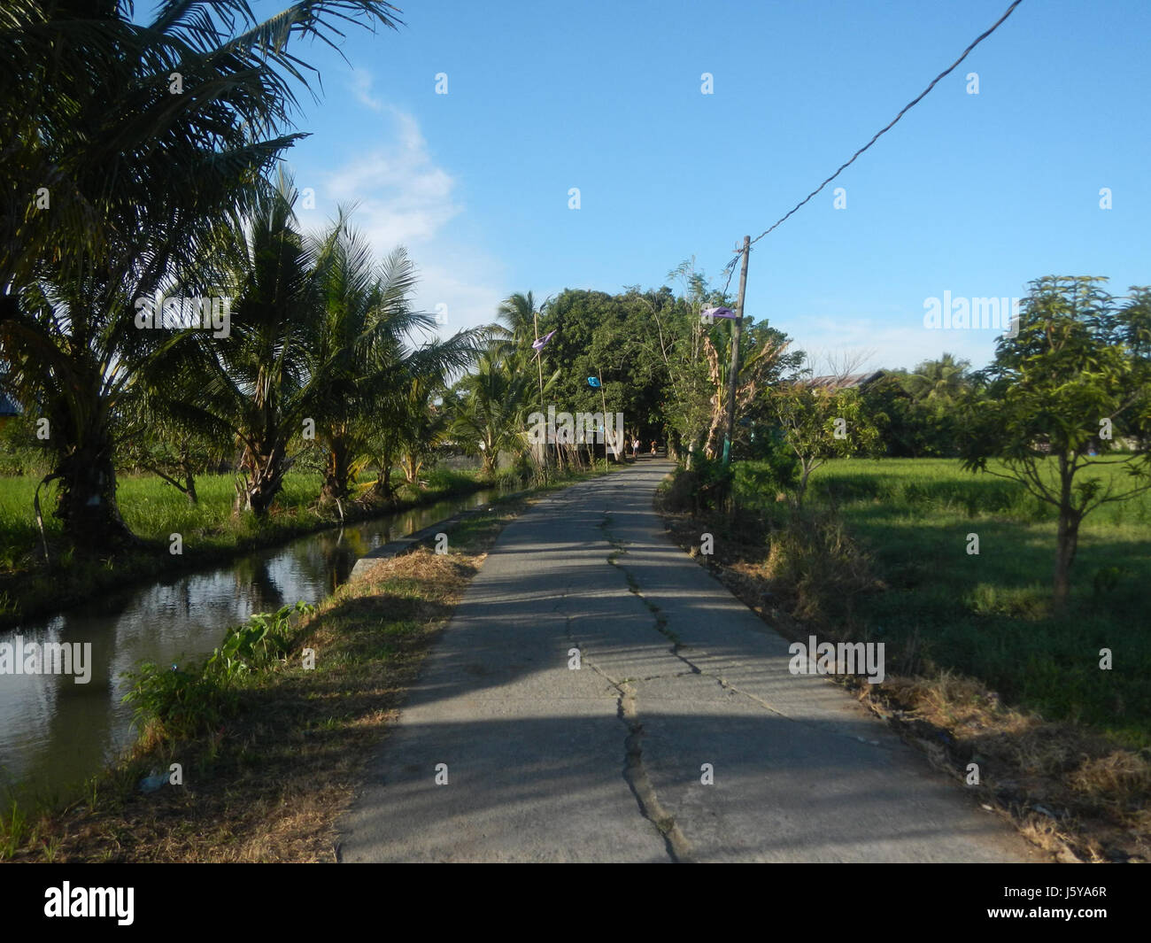 The title refers to various agricultural areas in Bulacan, Philippines ...