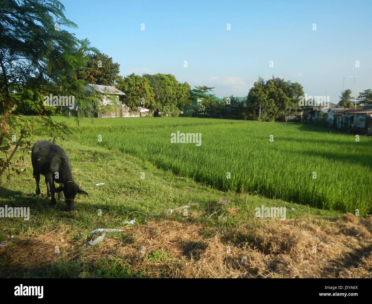 Market Value Of Land In Guiguinto Bulacan at Gemma Nock blog