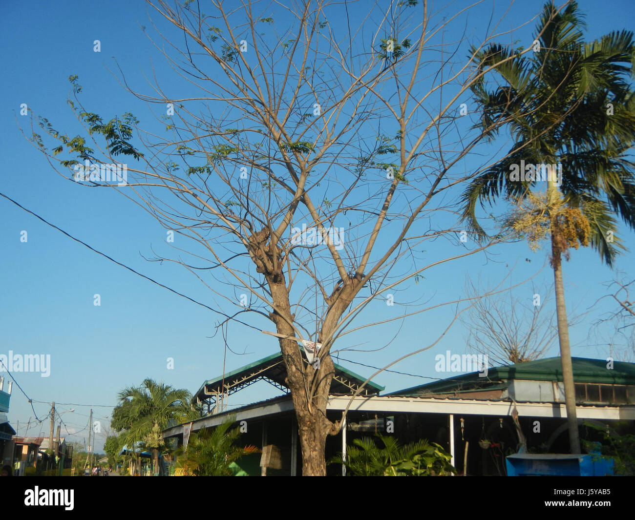 0110 Daungan Tiaong Villages Guiguinto, Bulacan 44 Stock Photo - Alamy