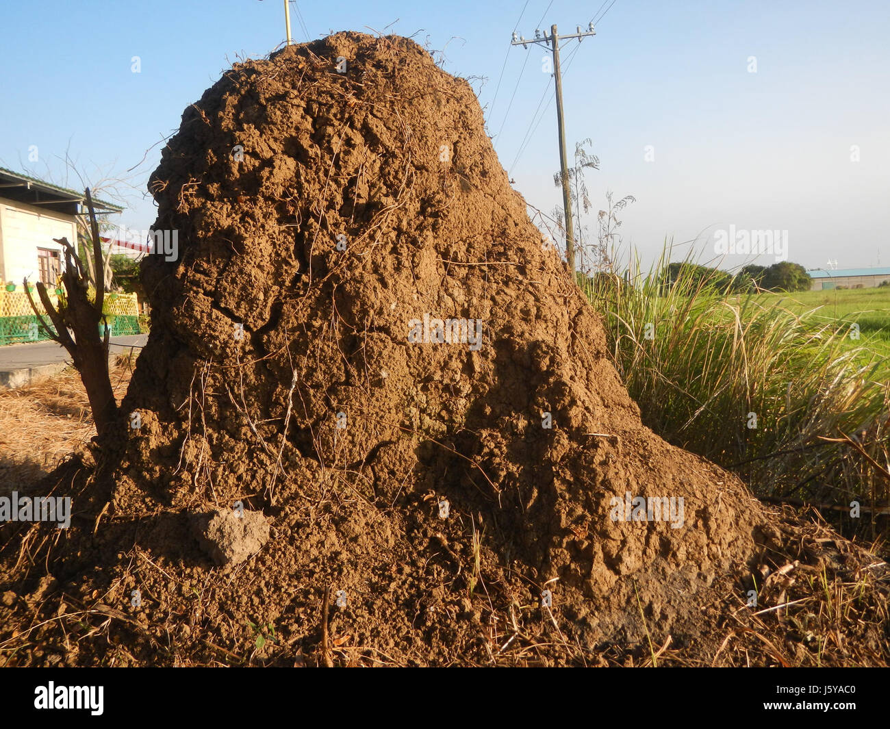 0206 Daungan Tiaong Villages Guiguinto, Bulacan 17 Stock Photo - Alamy