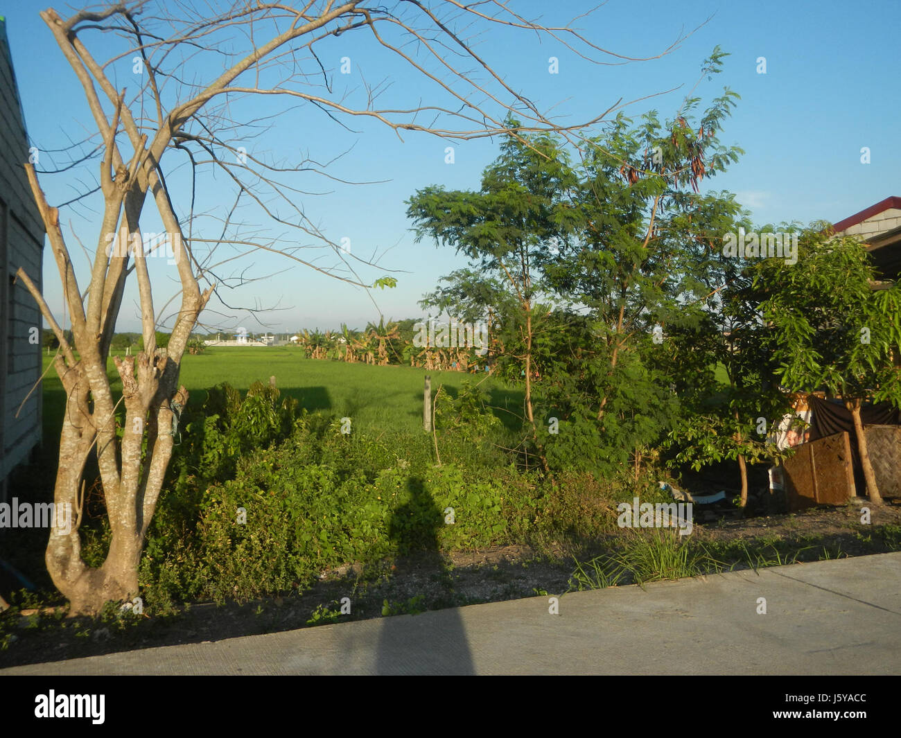0206 Daungan Tiaong Villages Guiguinto, Bulacan 29 Stock Photo - Alamy