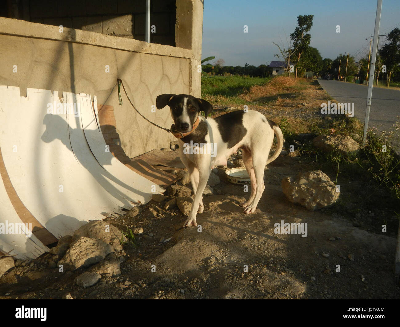 0206 Daungan Tiaong Villages Guiguinto, Bulacan 37 Stock Photo - Alamy