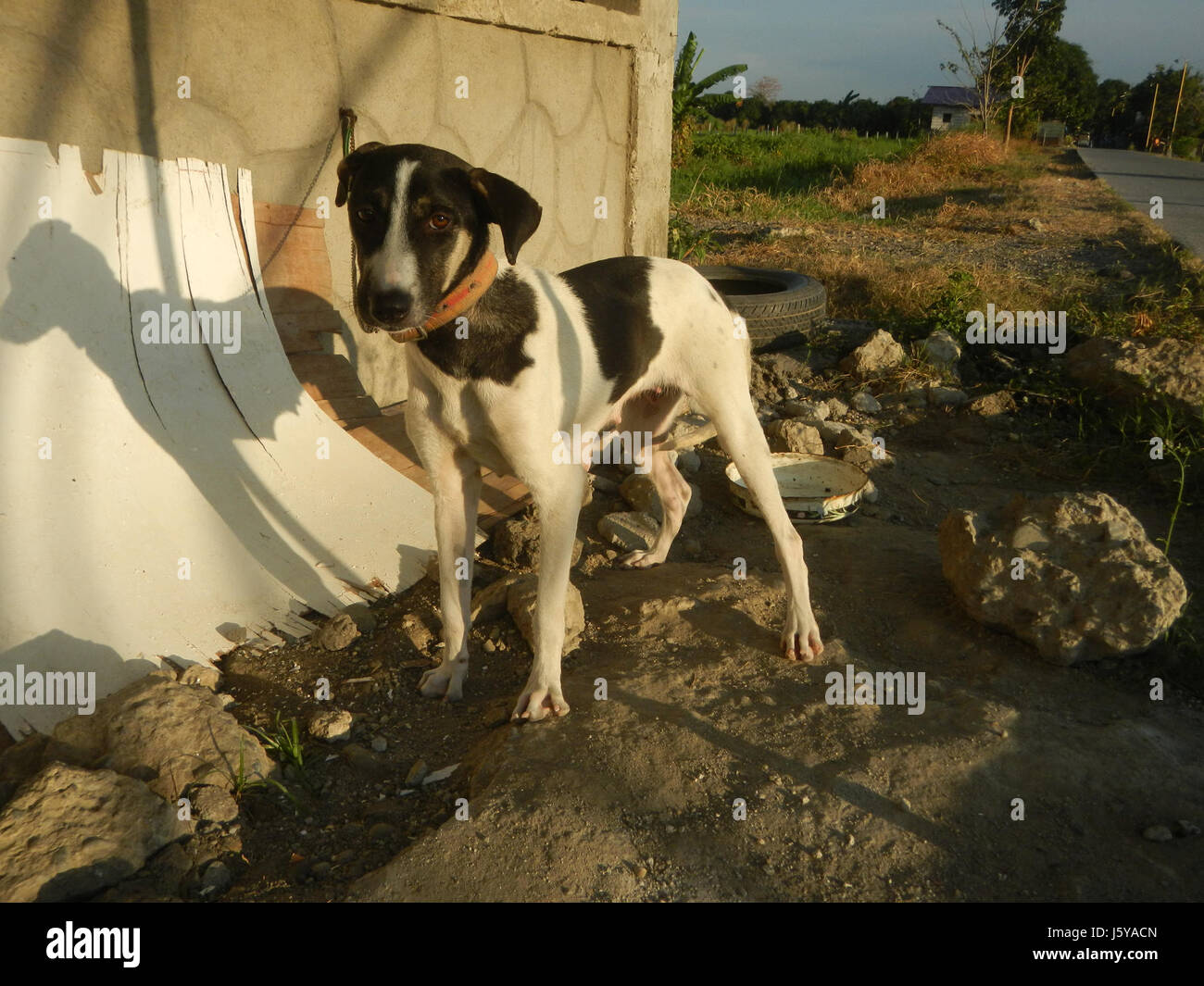 0206 Daungan Tiaong Villages Guiguinto, Bulacan 38 Stock Photo - Alamy