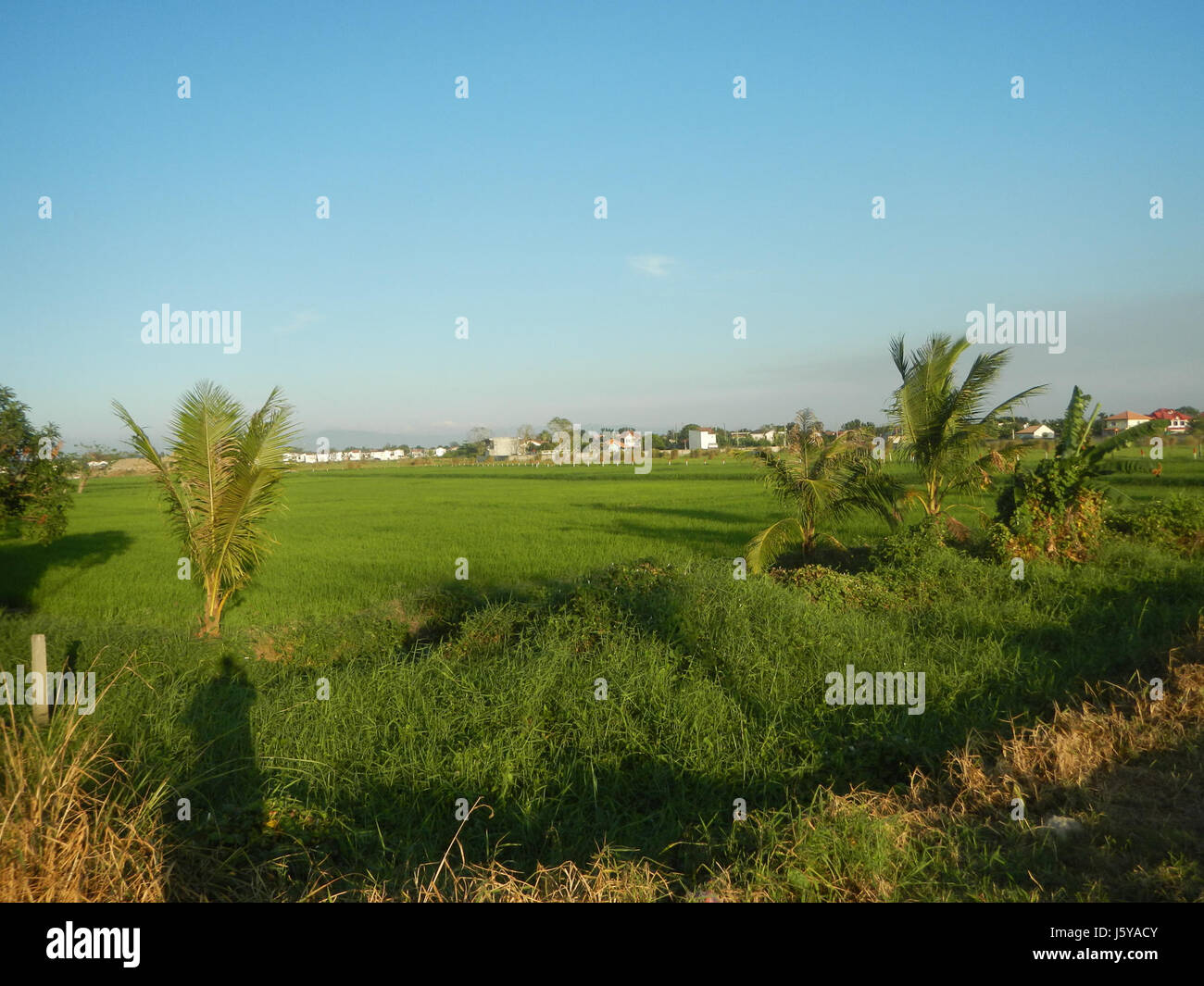 This image shows Daungan Tiaong villages in Guiguinto, Bulacan ...