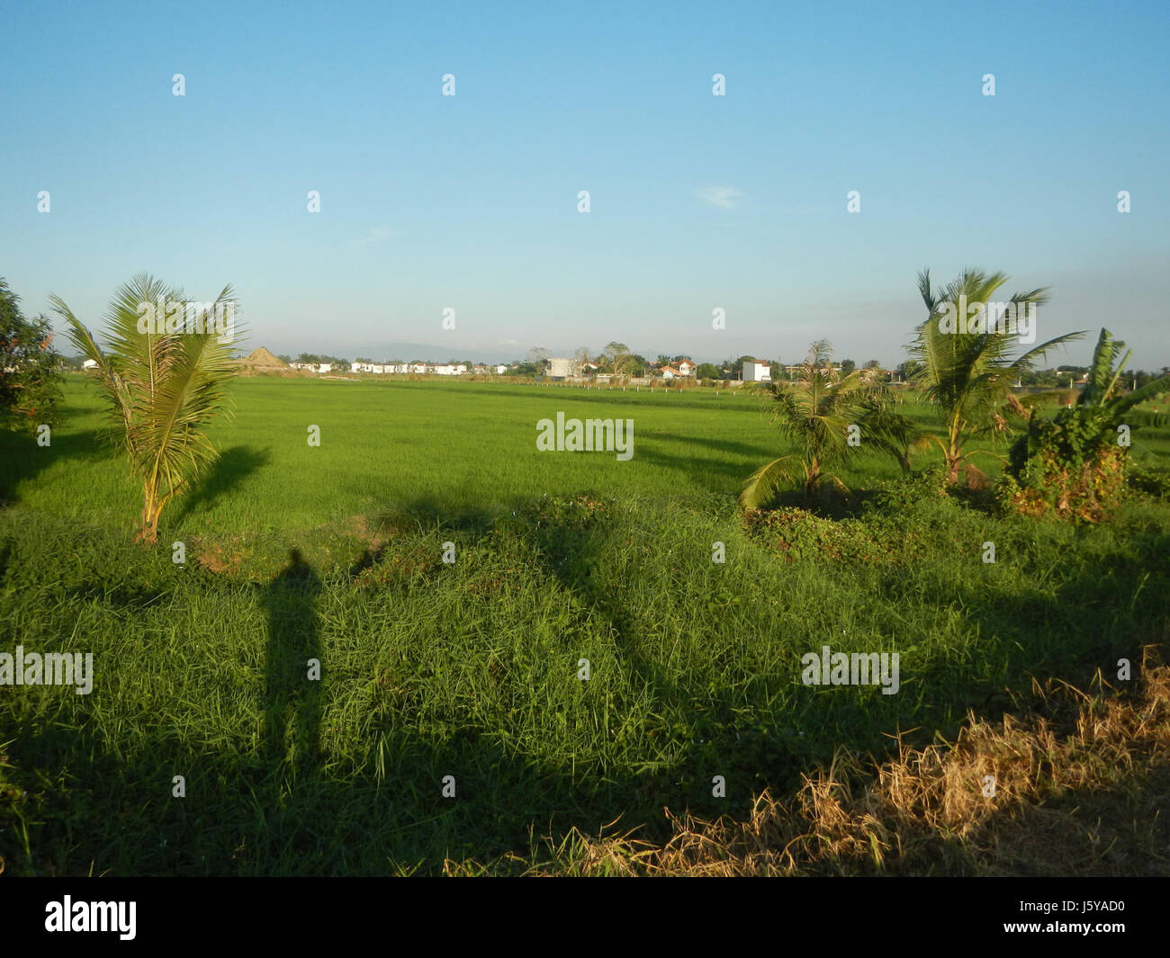 0206 Daungan Tiaong Villages Guiguinto, Bulacan 44 Stock Photo - Alamy