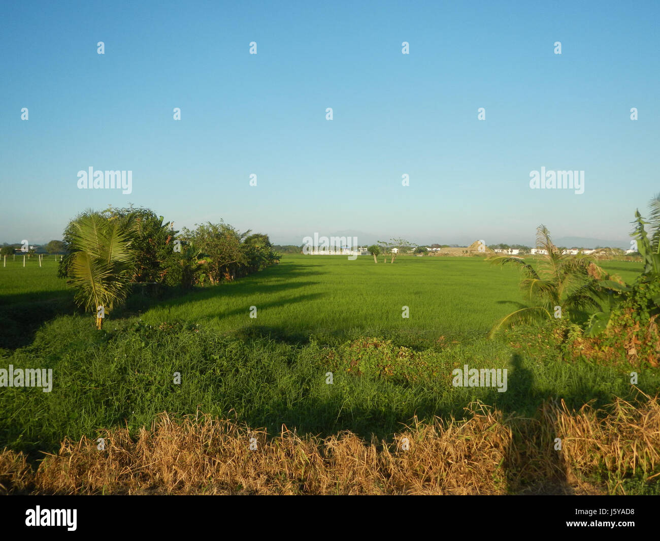0256 Daungan Tiaong Villages Guiguinto, Bulacan 07 Stock Photo - Alamy