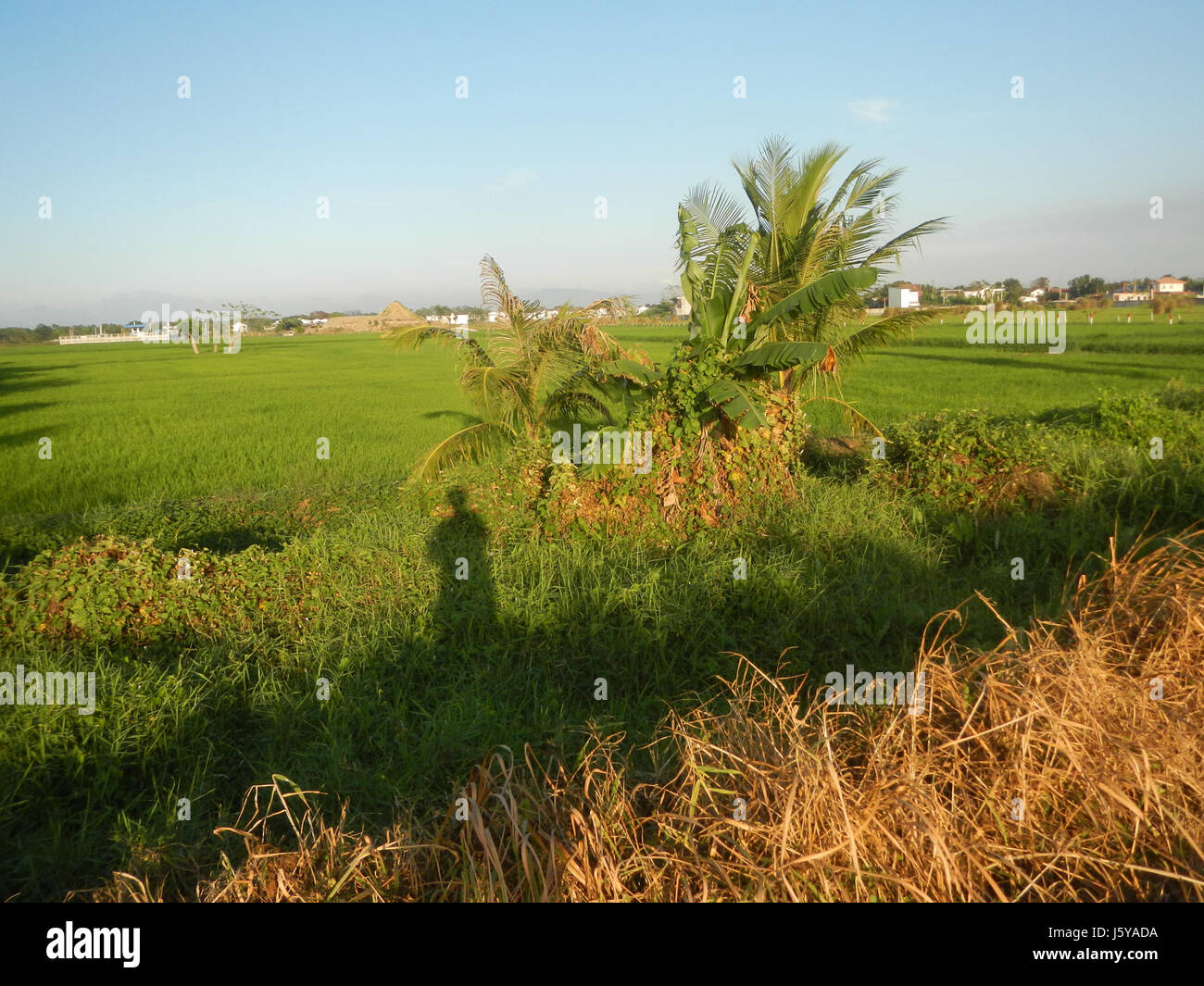 A photograph or map illustrating the Daungan area of Tiaong, with ...