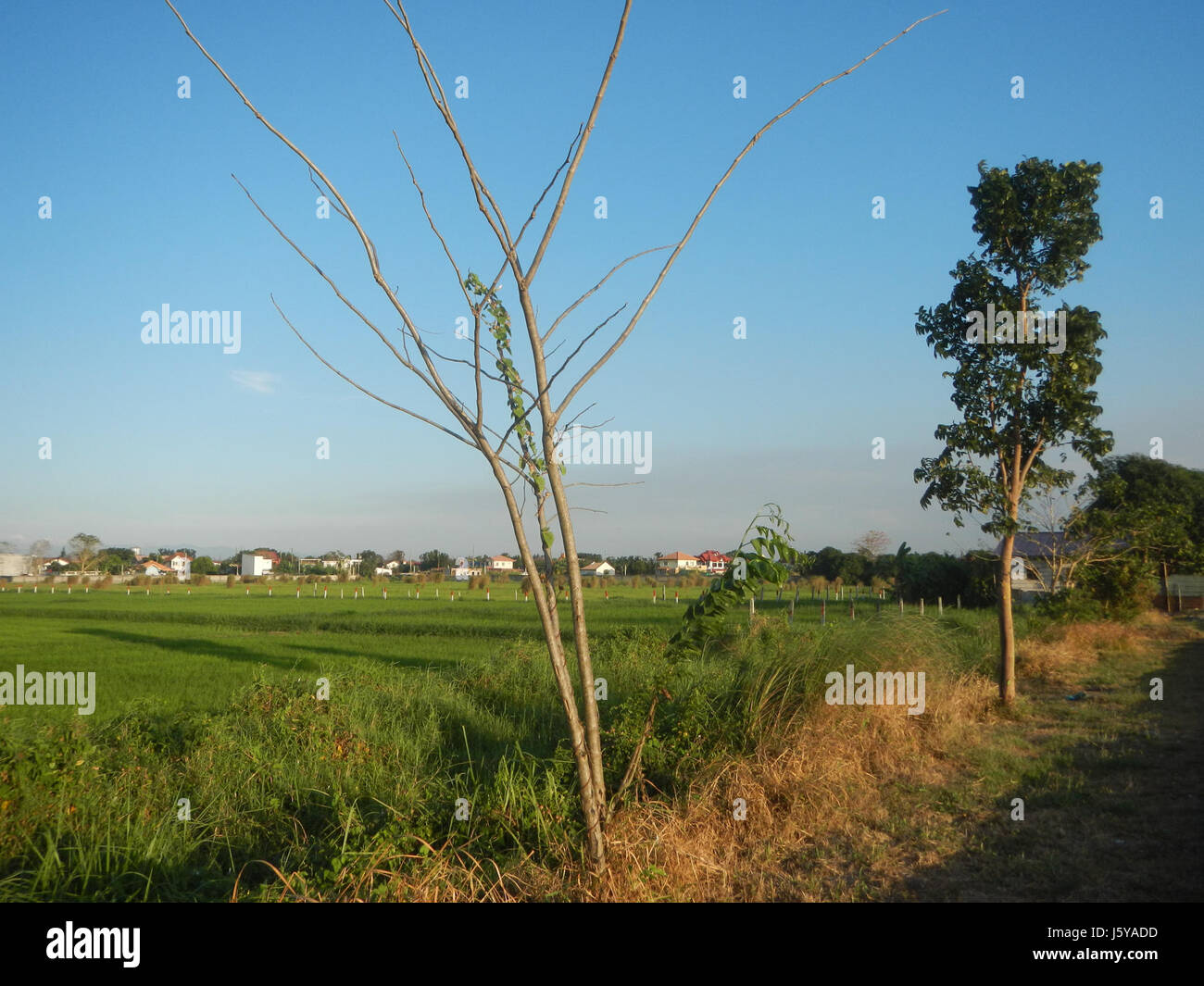 0256 Daungan Tiaong Villages Guiguinto, Bulacan 12 Stock Photo - Alamy