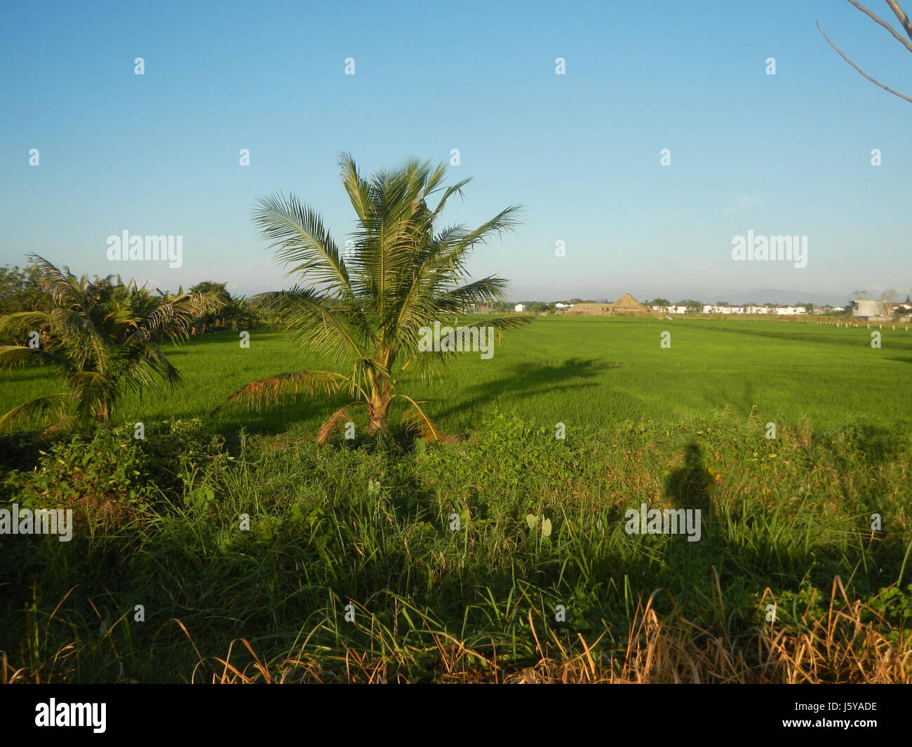 Daungan in Tiaong, Guiguinto, Bulacan is a well-known area within the ...