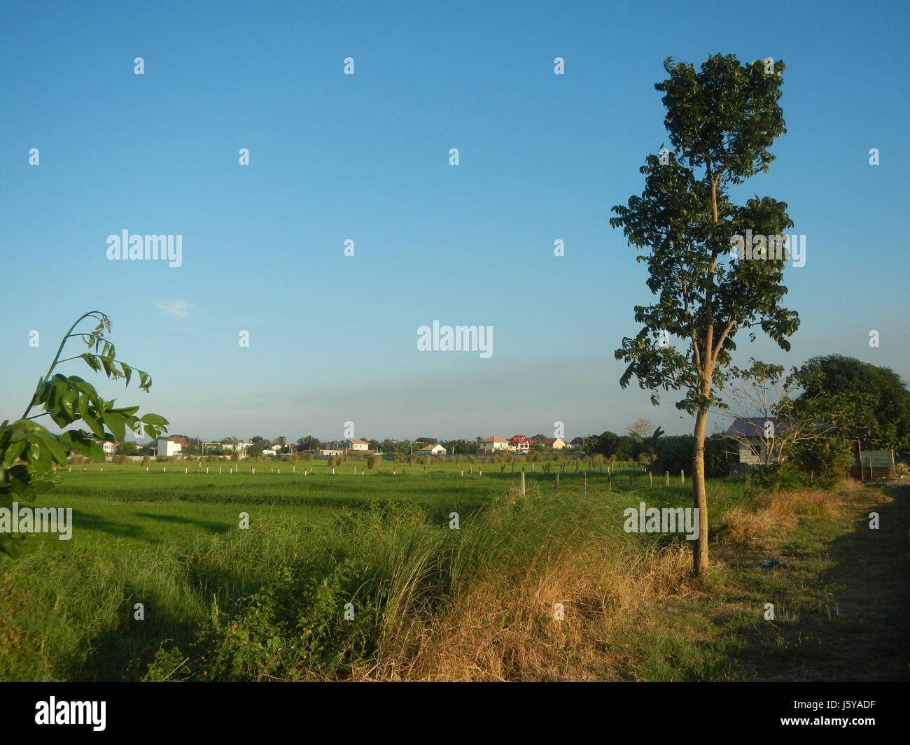 0256 Daungan Tiaong Villages Guiguinto, Bulacan 14 Stock Photo - Alamy