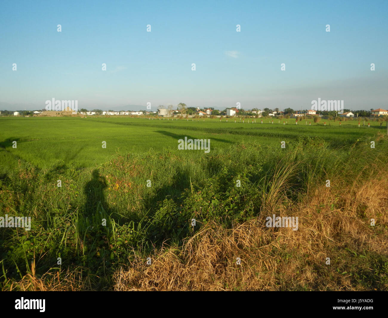0256 Daungan Tiaong Villages Guiguinto, Bulacan 15 Stock Photo - Alamy