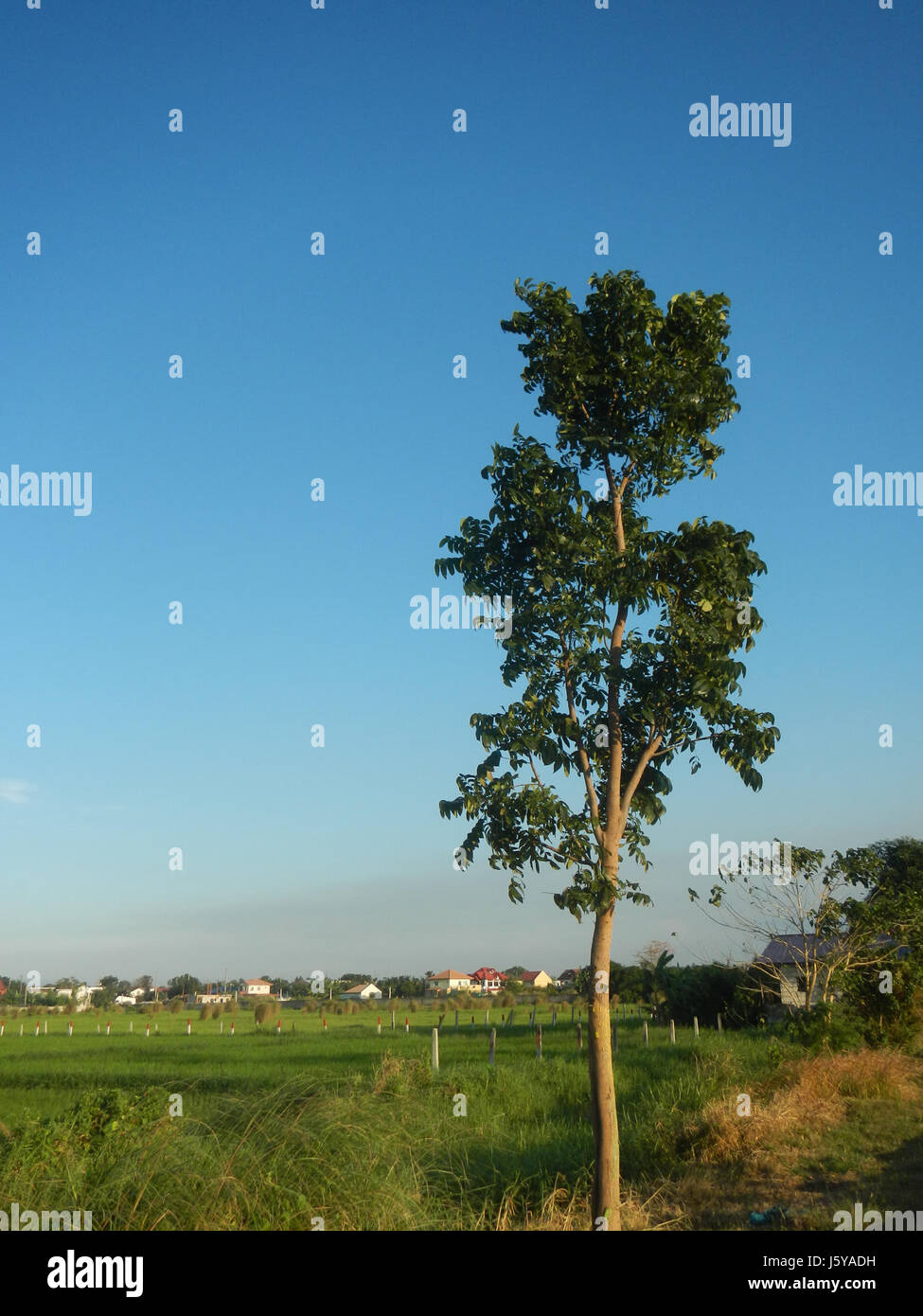 This image highlights Daungan, Tiaong, and neighboring villages in ...