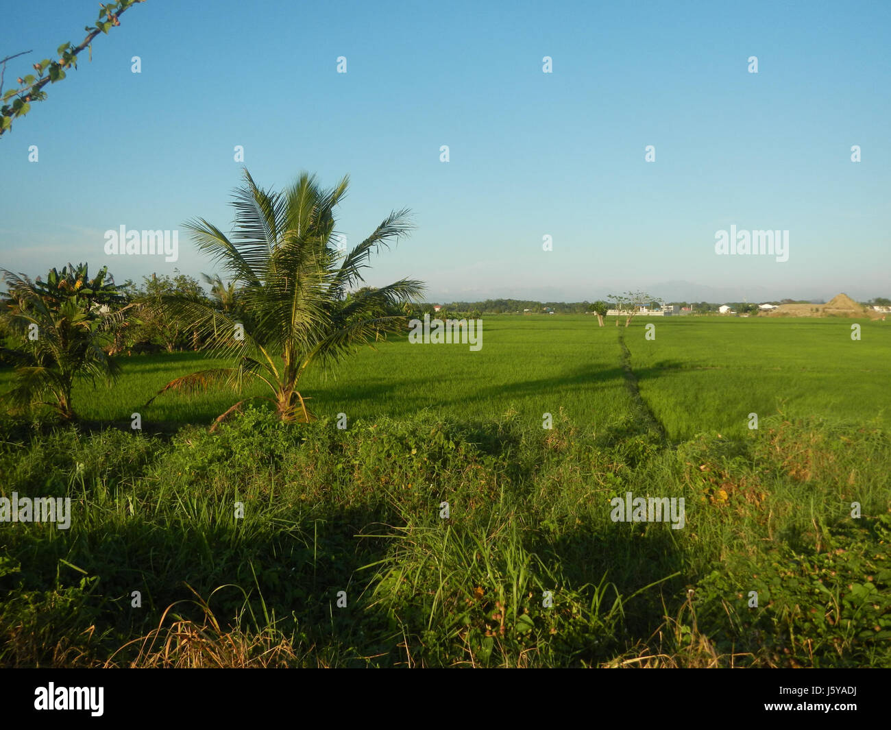 0256 Daungan Tiaong Villages Guiguinto, Bulacan 17 Stock Photo - Alamy
