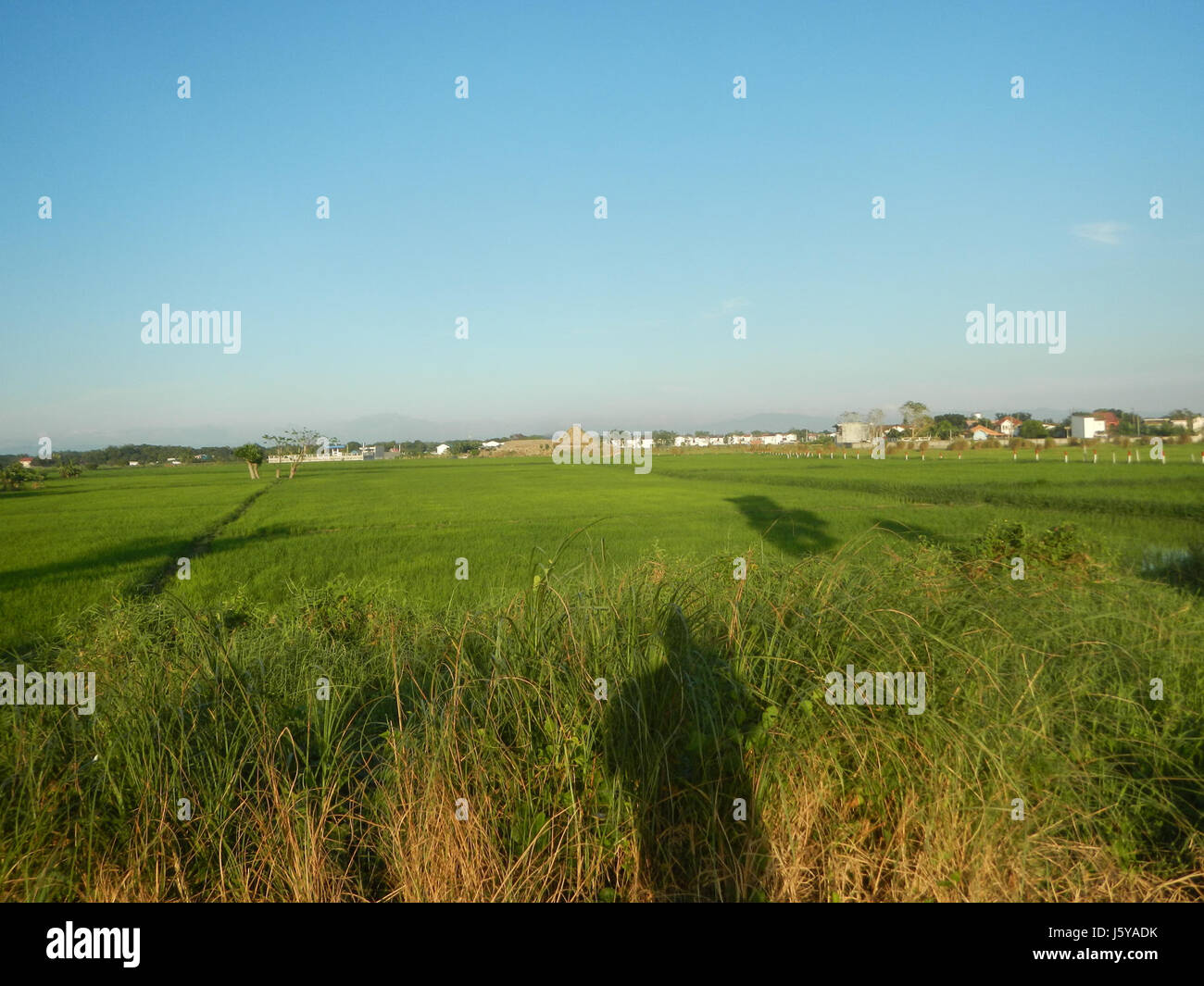 This image shows the village roads of Daungan Tiaong in Guiguinto ...