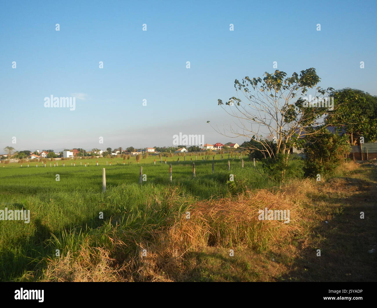 0256 Daungan Tiaong Villages Guiguinto, Bulacan 21 Stock Photo - Alamy