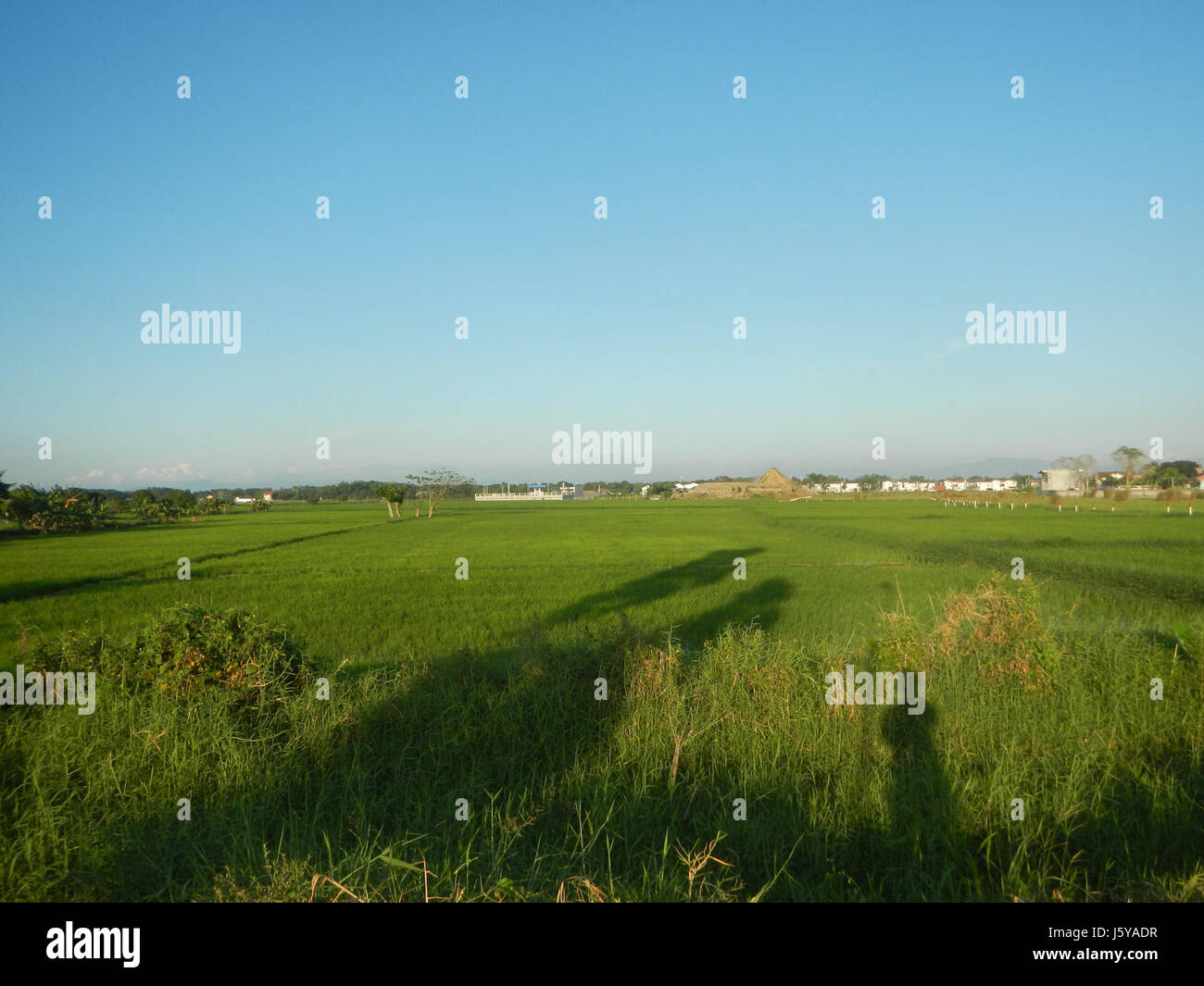 0256 Daungan Tiaong Villages Guiguinto, Bulacan 22 Stock Photo - Alamy