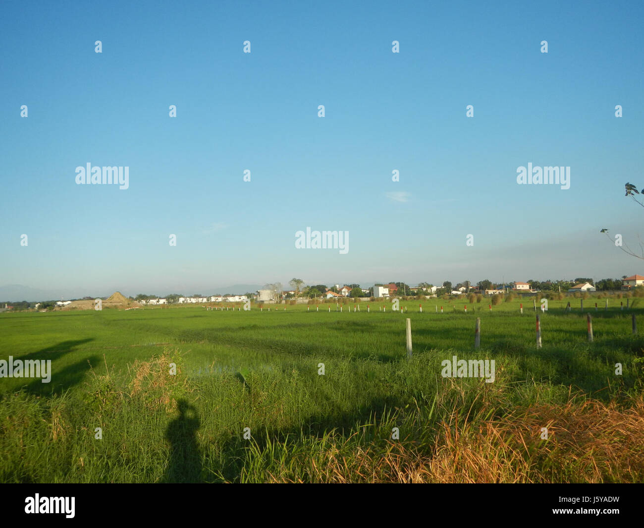 0256 Daungan Tiaong Villages Guiguinto, Bulacan 24 Stock Photo - Alamy