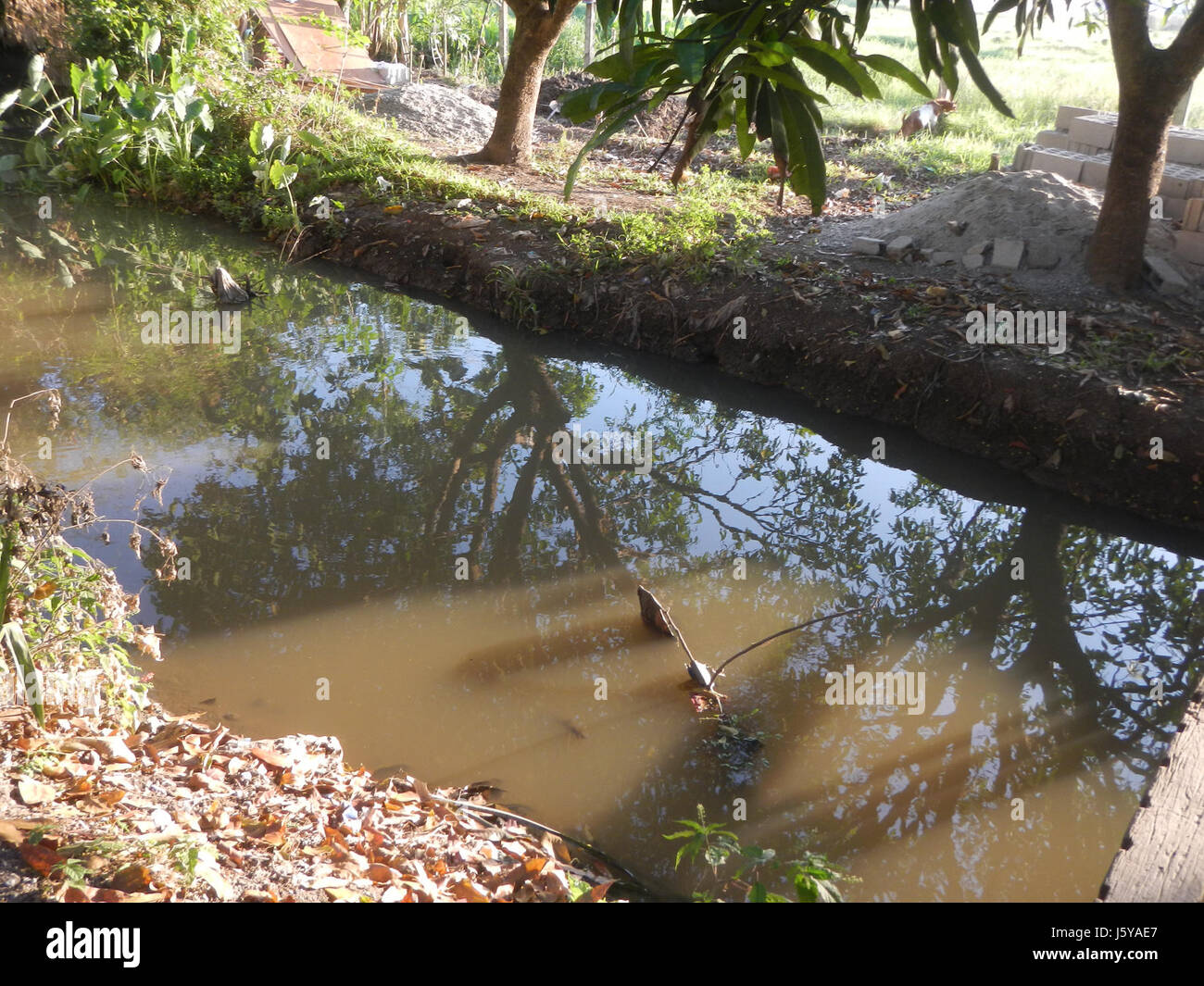 0256 Daungan Tiaong Villages Guiguinto, Bulacan 34 Stock Photo - Alamy