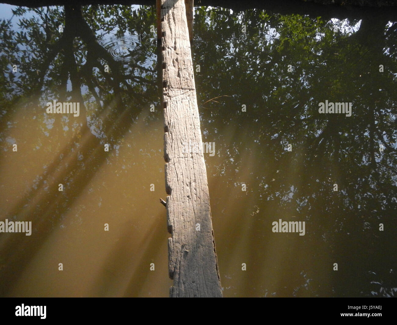 A photograph of the Daungan Tiaong villages in Guiguinto, Bulacan ...