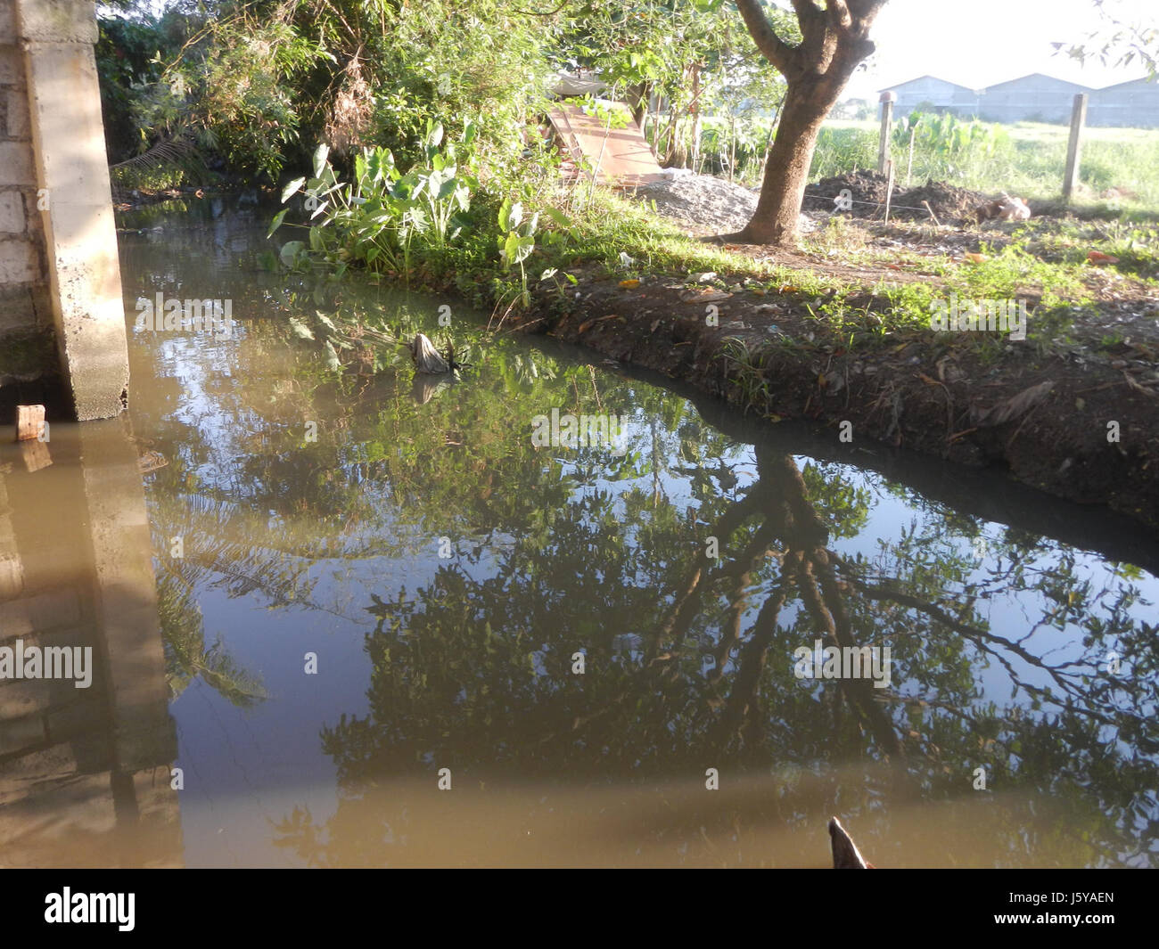 0256 Daungan Tiaong Villages Guiguinto, Bulacan 40 Stock Photo - Alamy