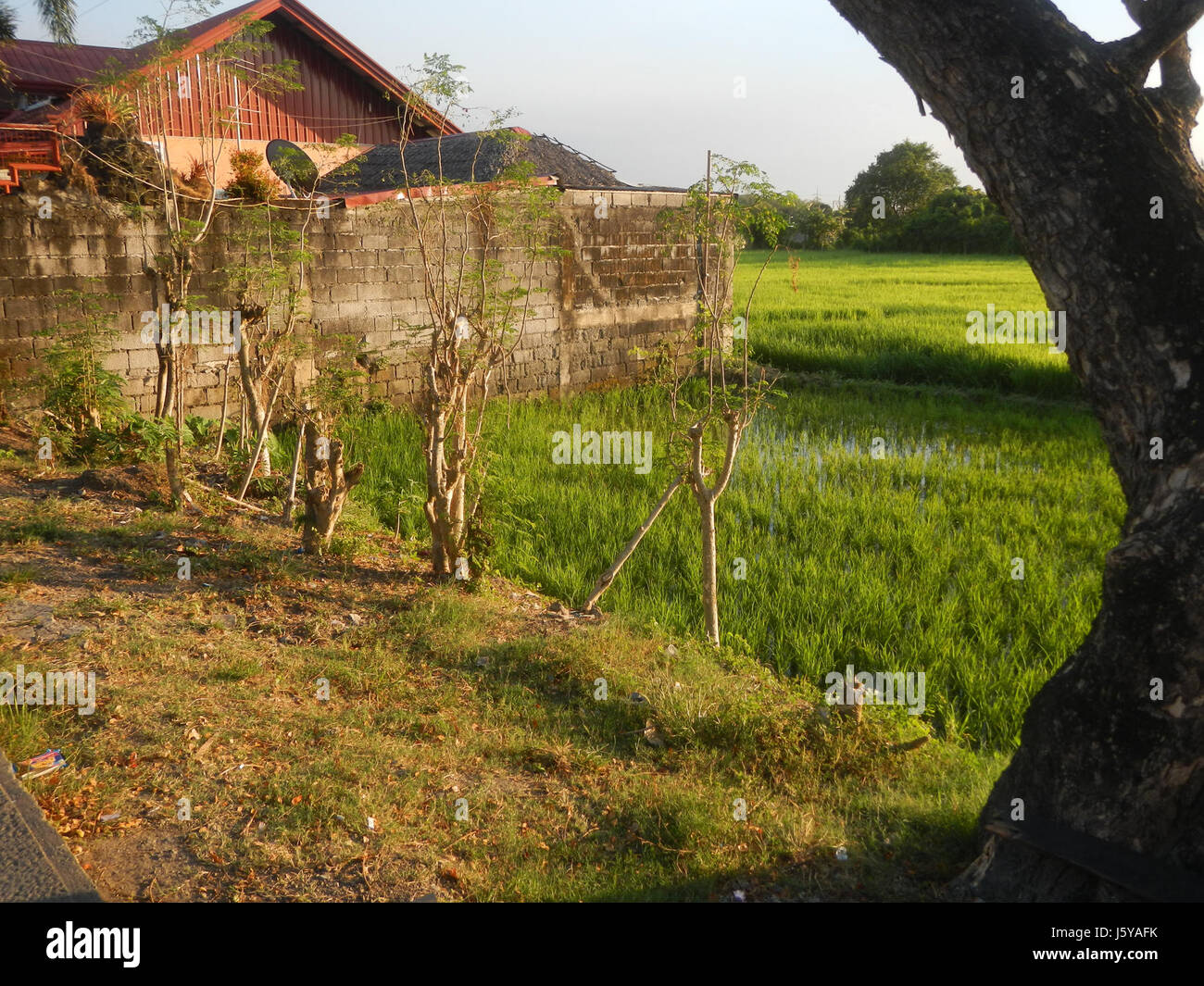 The Daungan Tiaong Tuktukan Highway in Guiguinto, Bulacan, is a key ...