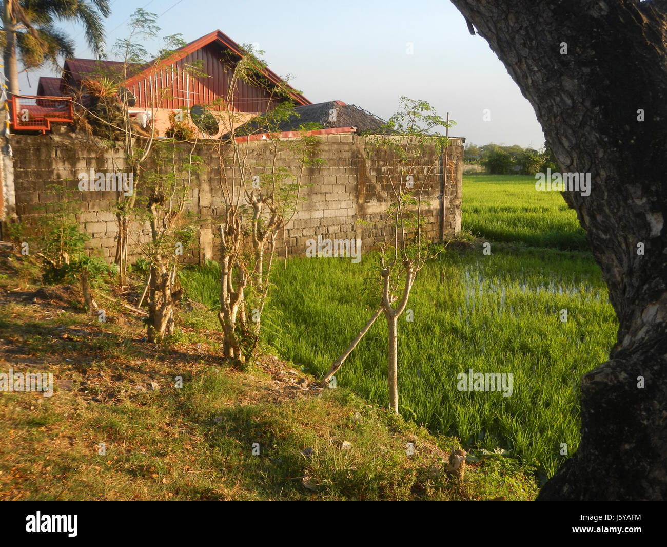 0303 Daungan Tiaong Tuktukan Highway Sunsets Villages Guiguinto ...