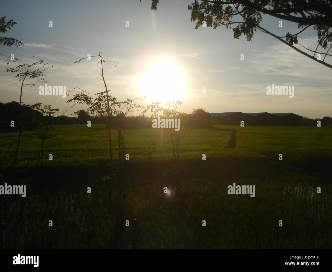 The image describes the rural and scenic areas along Daungan Tiaong ...