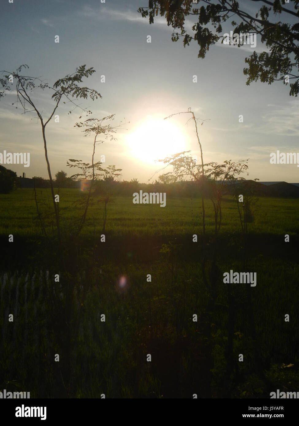 The Daungan Tiaong Tuktukan Highway in Guiguinto, Bulacan, offers ...