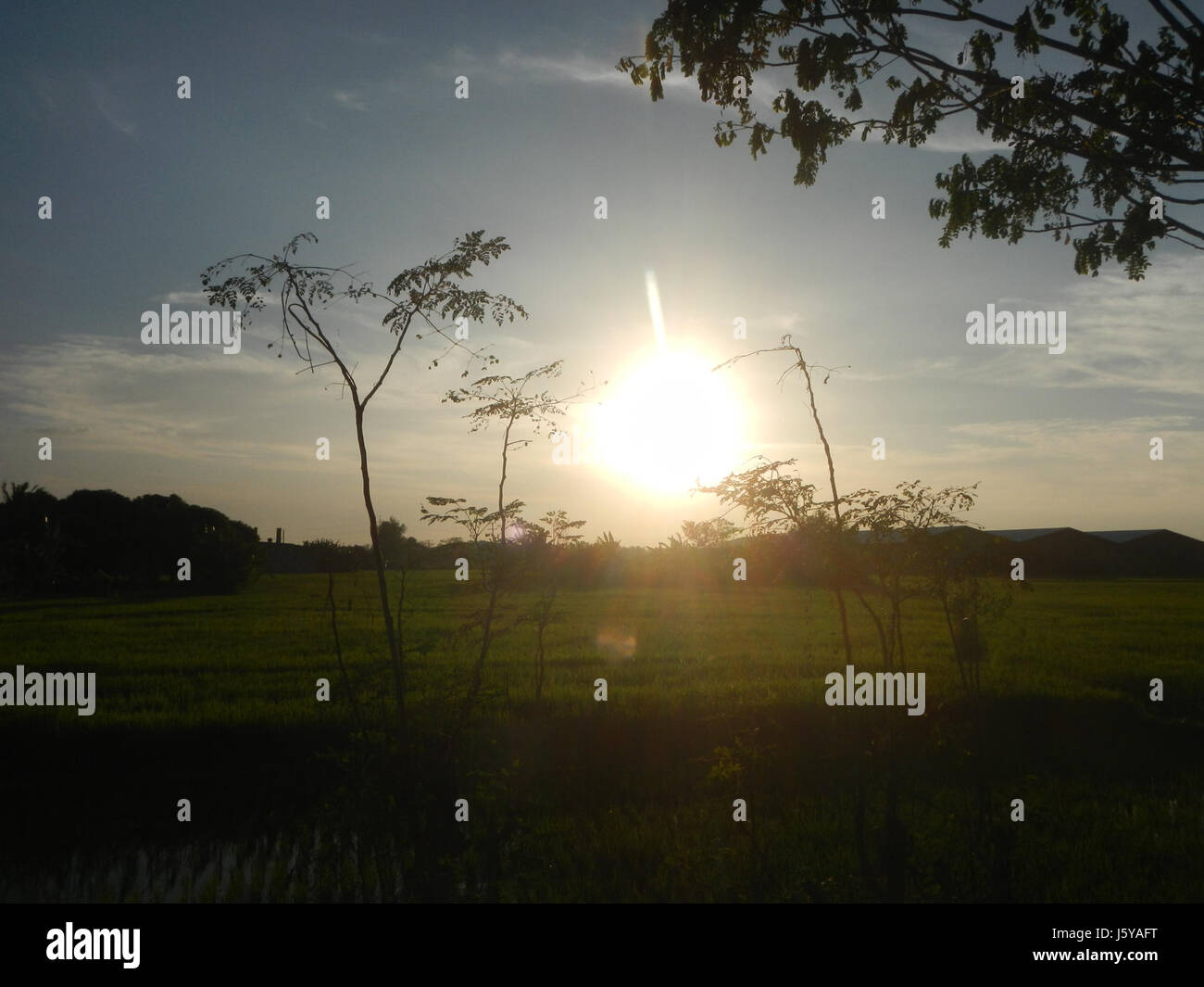 0303 Daungan Tiaong Tuktukan Highway Sunsets Villages Guiguinto ...