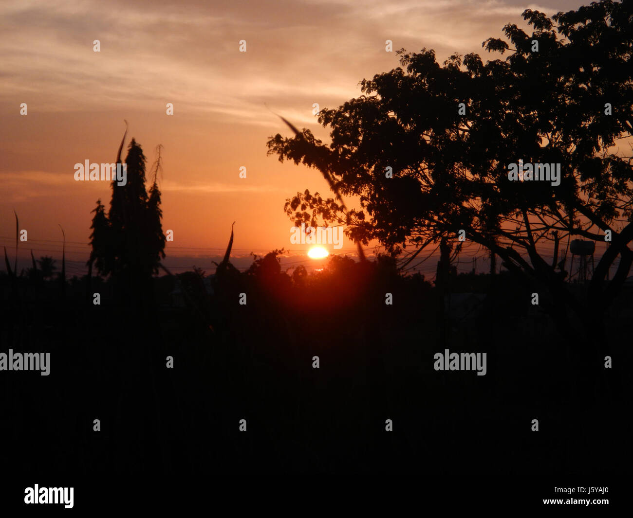 The image depicts a rural scene from Tiaong, including views of ...