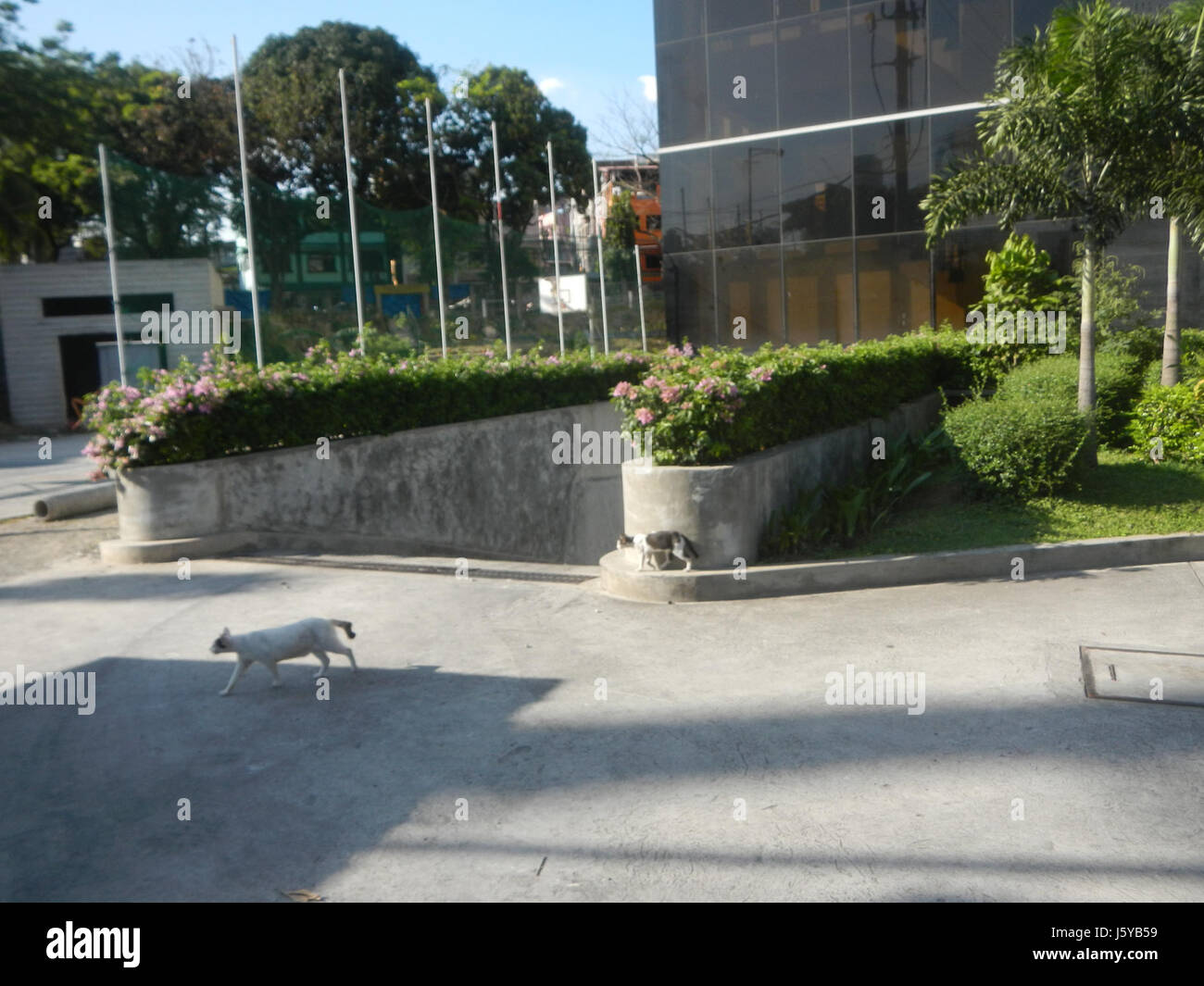 This photograph captures the Makati Science High School located along ...
