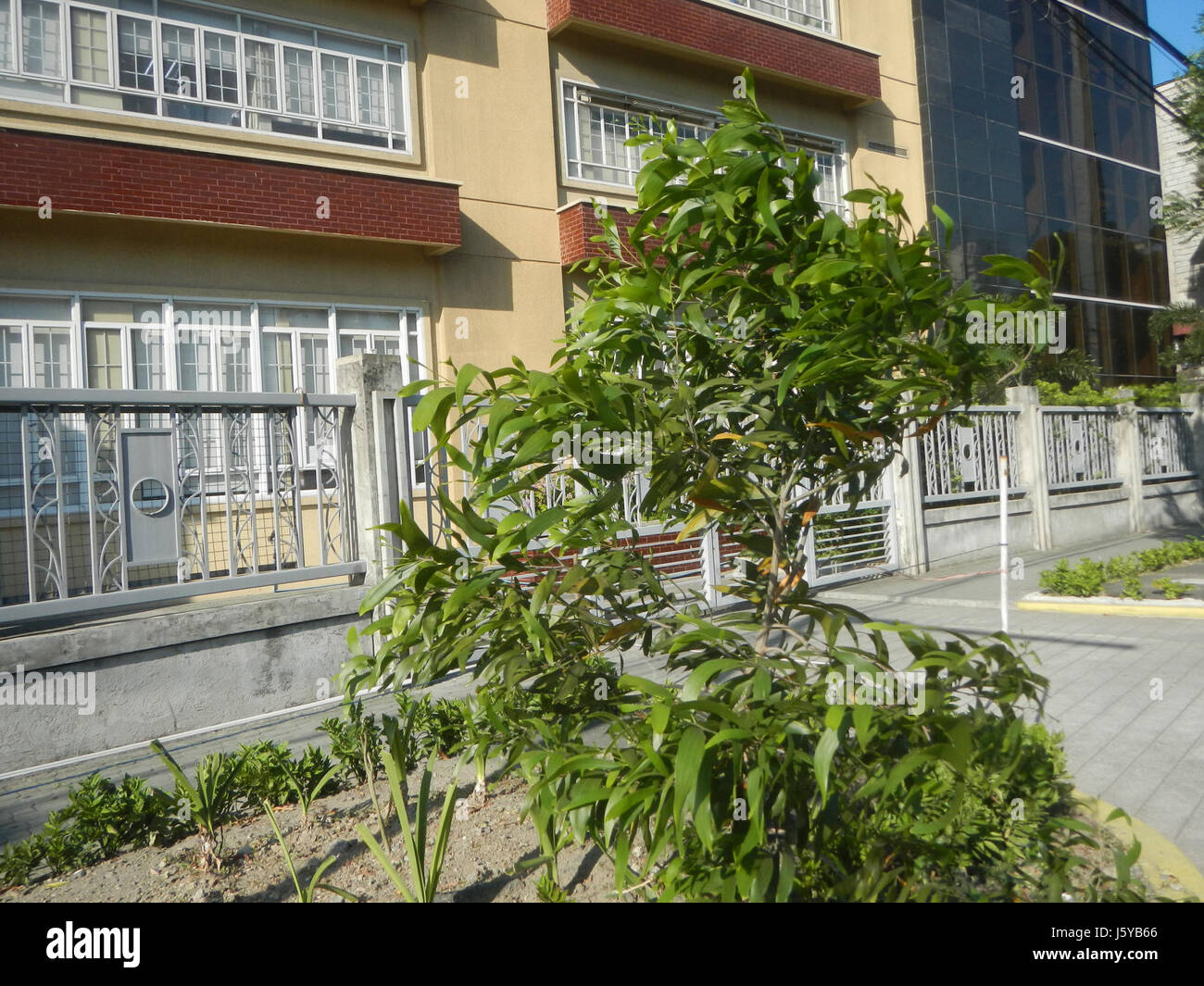 0351 Makati Science High School Cembo Kalayaan Avenue 41 Stock Photo ...