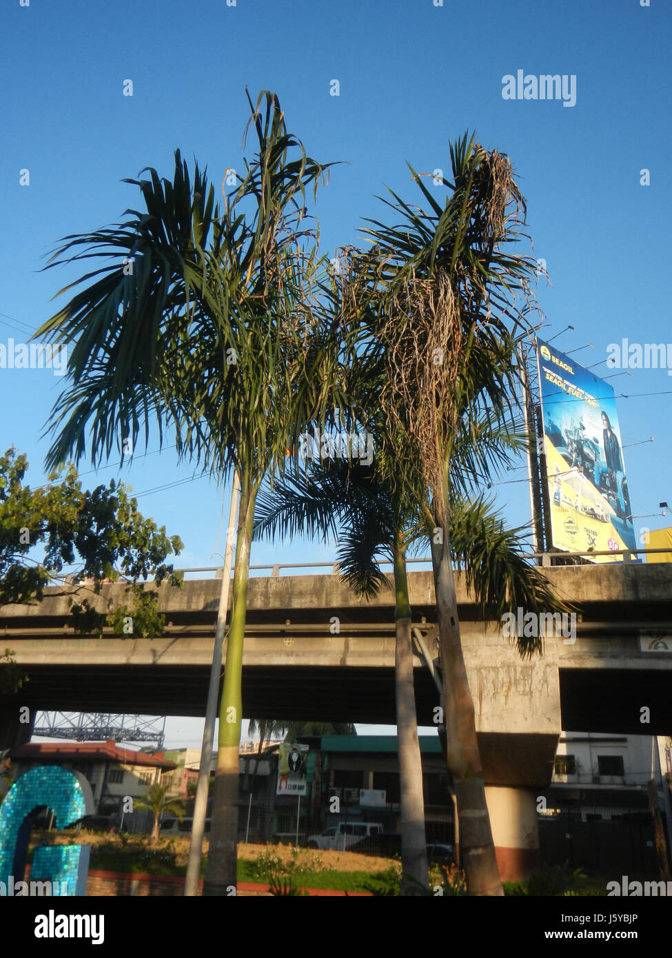 01142 Circumferential Road 6 Bagong Ilog Pasig Boulevard Flyover Vargas ...