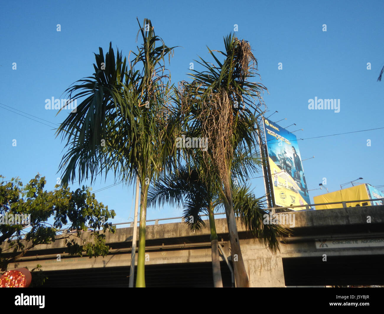 01142 Circumferential Road 7 Bagong Ilog Pasig Boulevard Flyover Vargas ...
