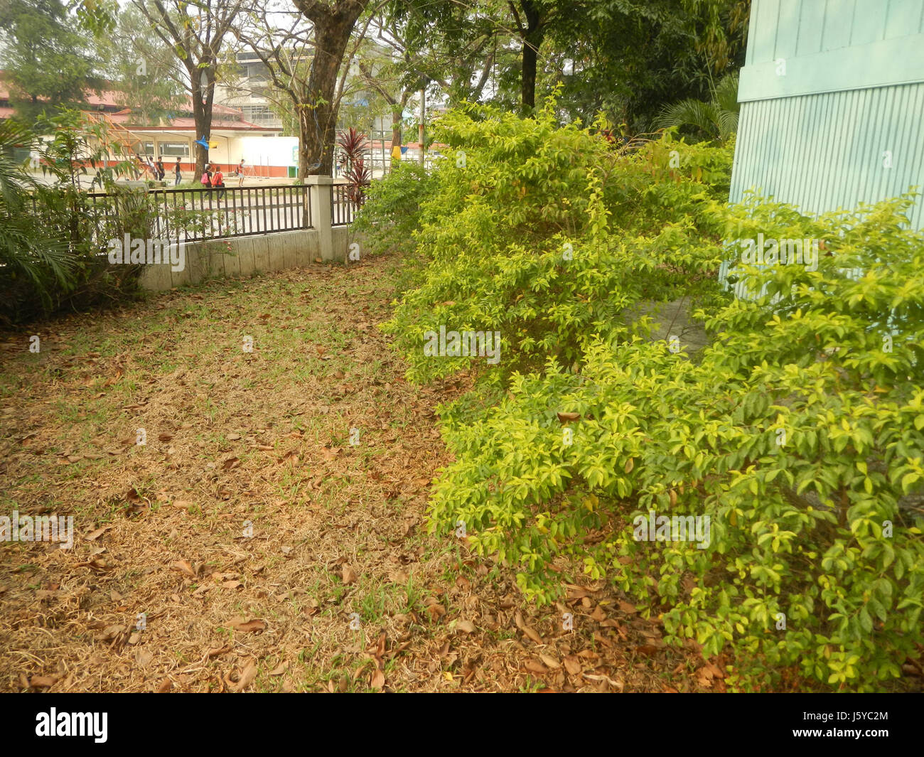 The Mabini Shrine House Museum in Santa Mesa, Manila, is dedicated to ...