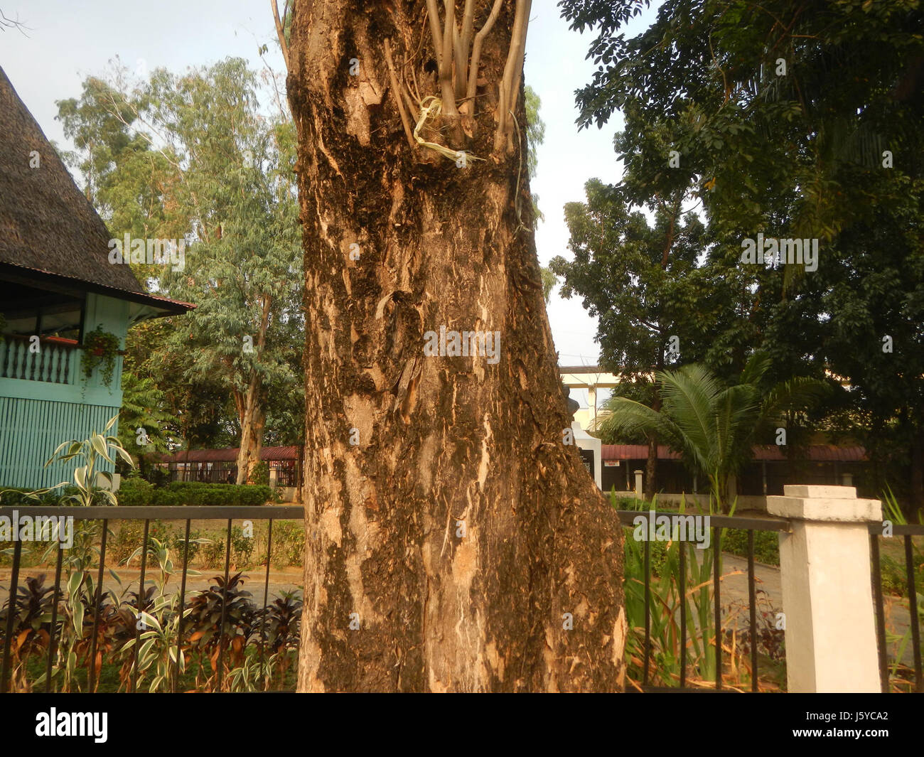 The Mabini Shrine Museum, located in Manila, is dedicated to the life ...